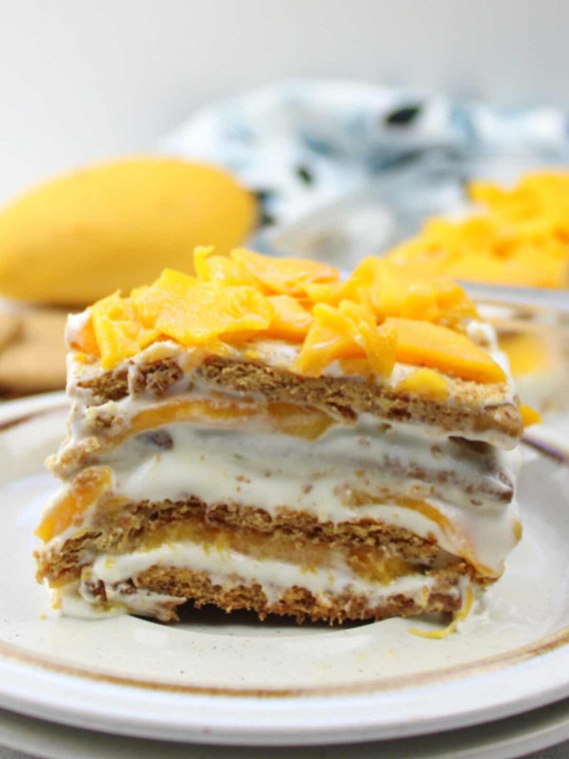 Mango Graham Shakes