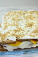 Mango Graham Float