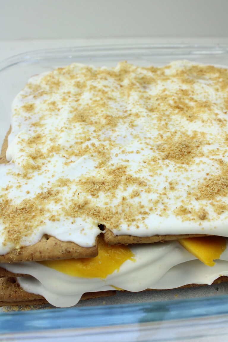 Mango Graham Float
