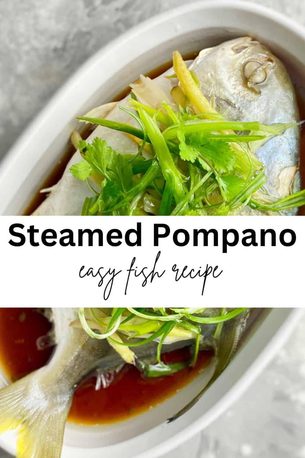 Easy Steamed Pompano Recipe